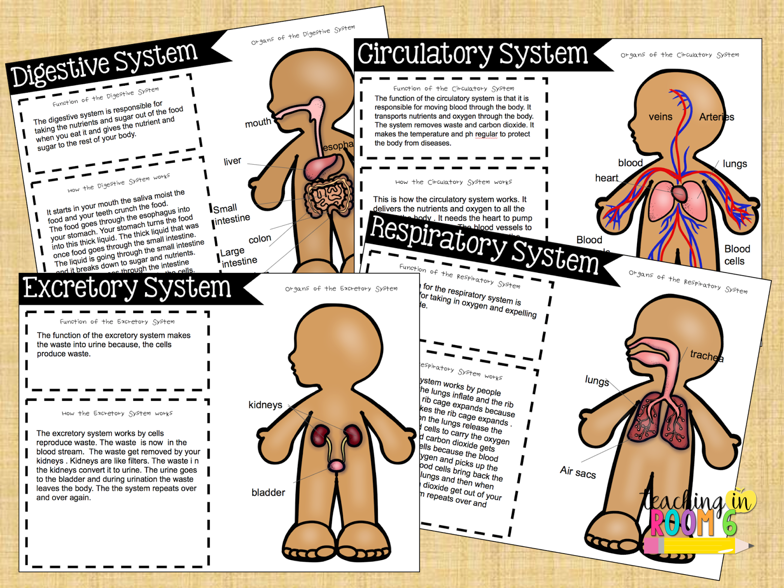 Body Systems Unit Wrap Up Teaching In Room 6 body-systems-unit-wrap-up-teaching-in-room-6