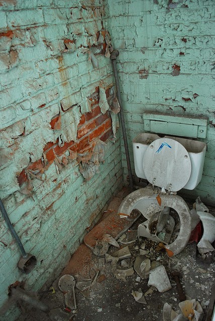 Mi vida, Mi mundo!: Diarrea Explosiva [QK Historias]