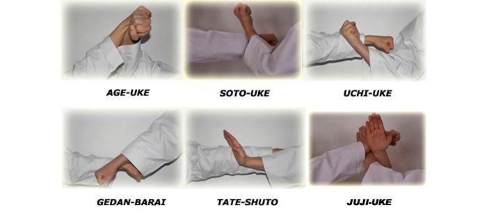 JKA NIKKEY ASSOCIACAO ARAPONGUENSE: Posições - Dachi e Golpes (Tecnicas ...