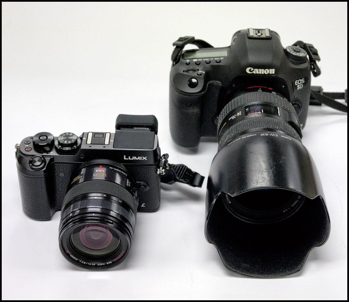 Man Behind Lens: Lumix DMC-GX8 - Prima Facie