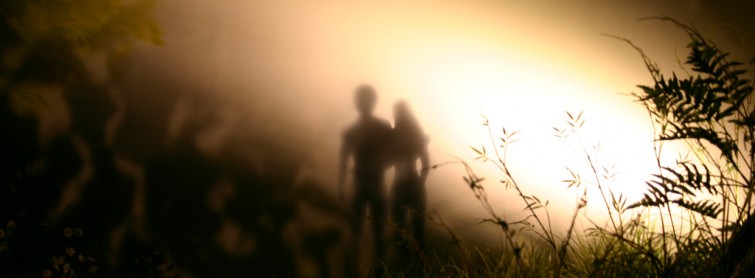 ADAM AND EVE DID NOT EAT THE APPLE