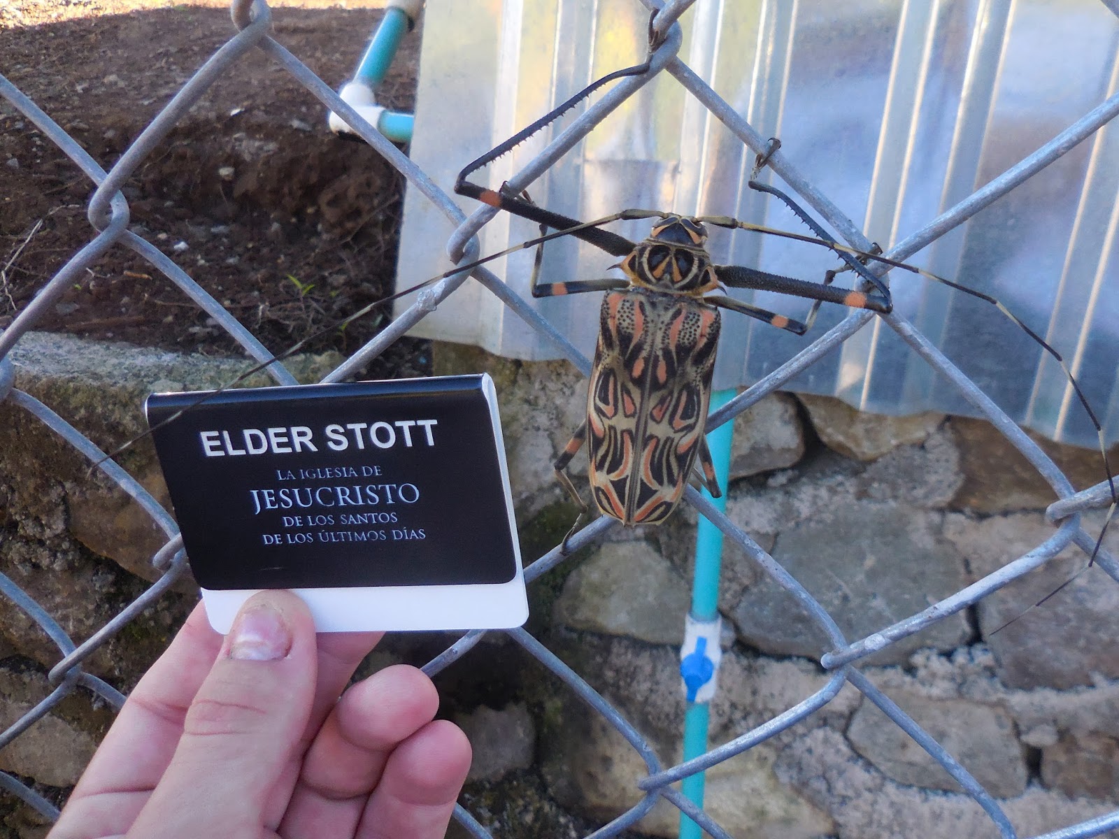 Elder Joshua Stott - Costa Rica, San José West Mission