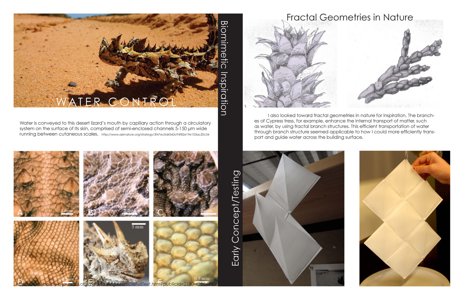 Micro Bio Structure: Reflection