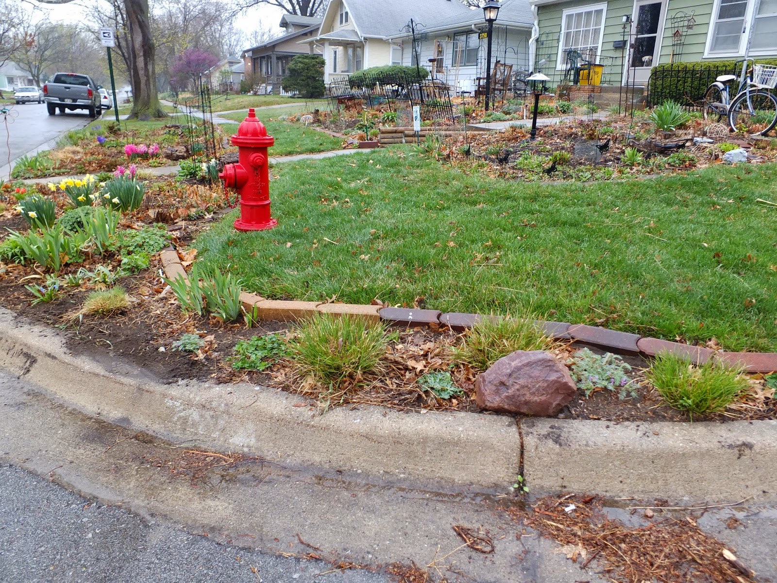 A Corner Garden: East Curb Area