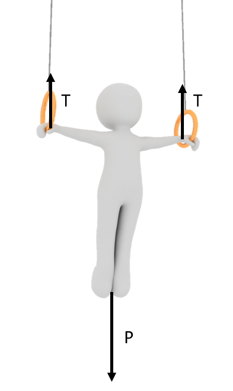 Portfólio de Biomecânica : Cinemática angular e linear