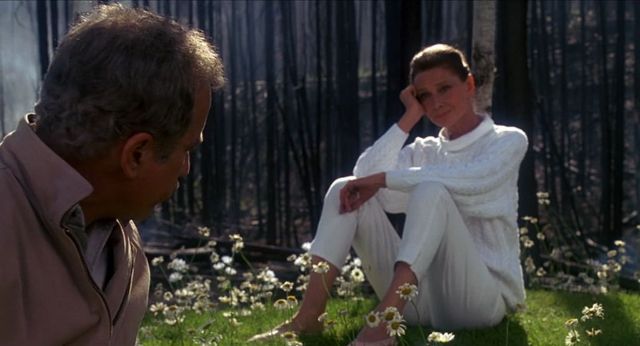 18 Beautiful Photos of Audrey Hepburn in Her Last Movie "Always", 1989 ...