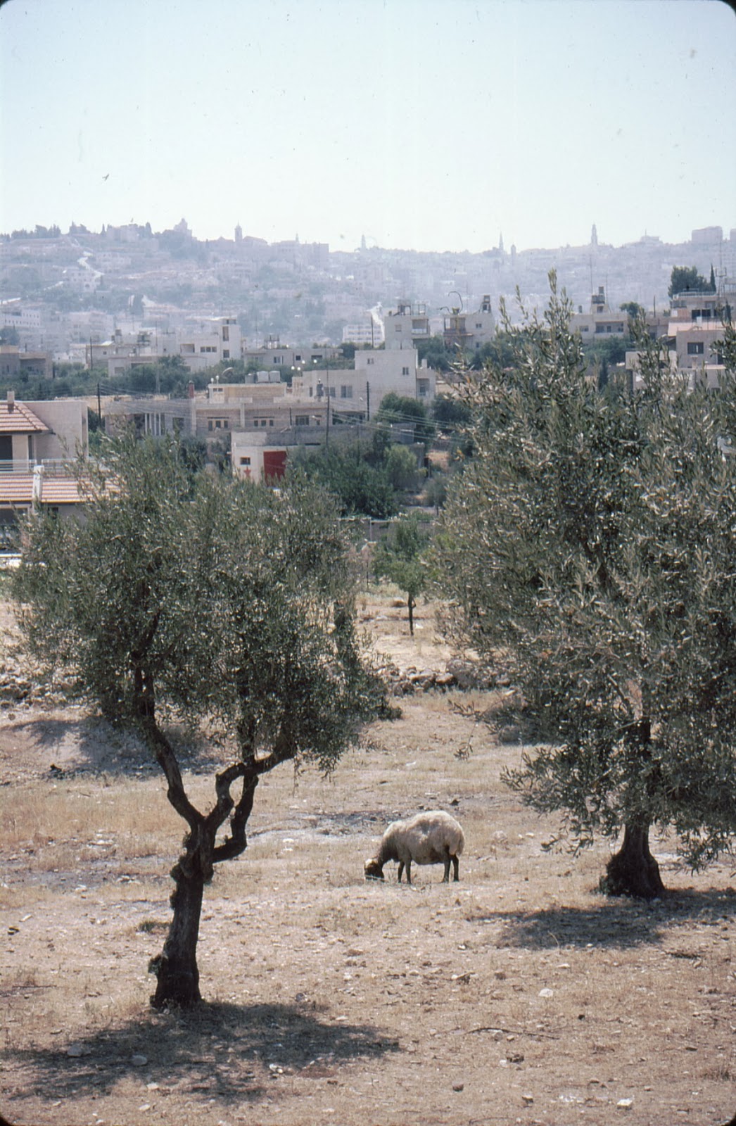 Beit Emmett: The Setting and Story of Christmas