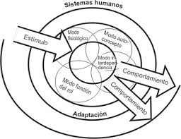 Teaching Nursing: Callista Roy: Modelo de adaptación.