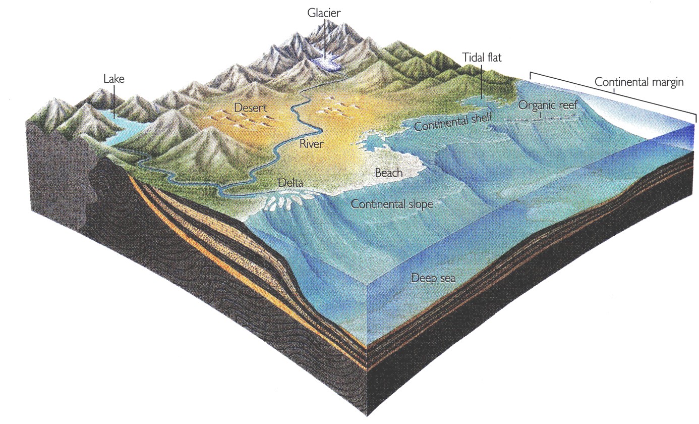 Understanding the Genesis and Habitat of Petroleum Petroleum System ...