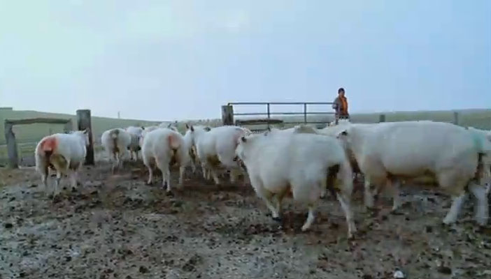 Antipodes: François Skyvington's moped road movie #6