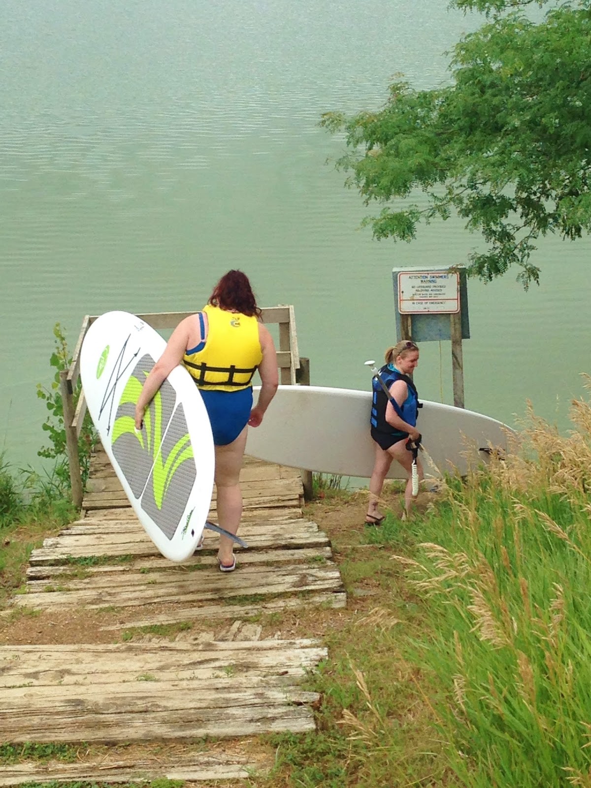 artteajannell: Pet Damselfly