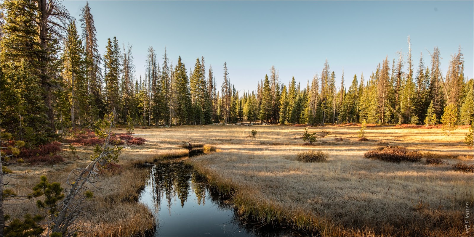 The World As I See It: Uinta Fall Colors 1