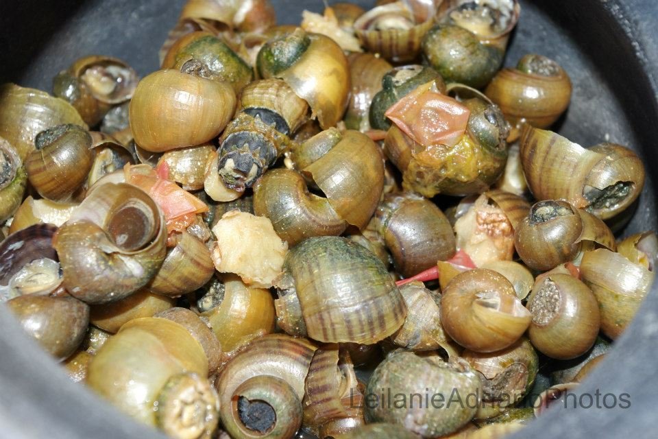 PINAKBET REPUBLIC: a feast of ilokano food exotica...