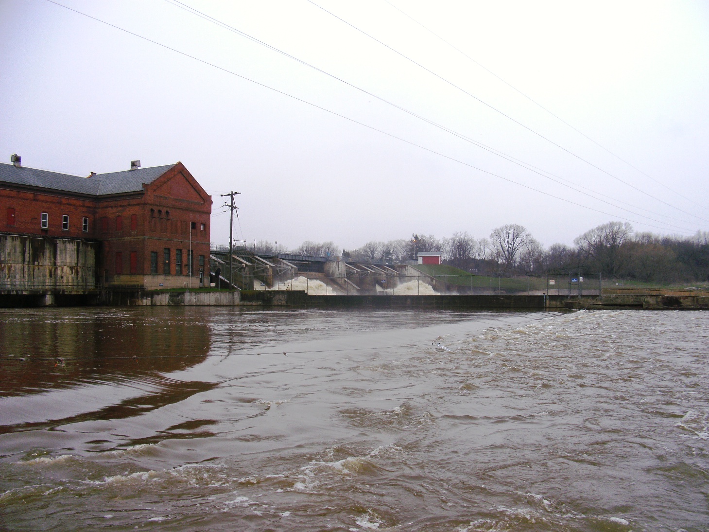 Michigan Steelhead Report: Webber Dam
