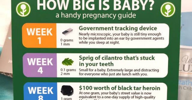 Miss Cellania: Pregnancy Growth Chart