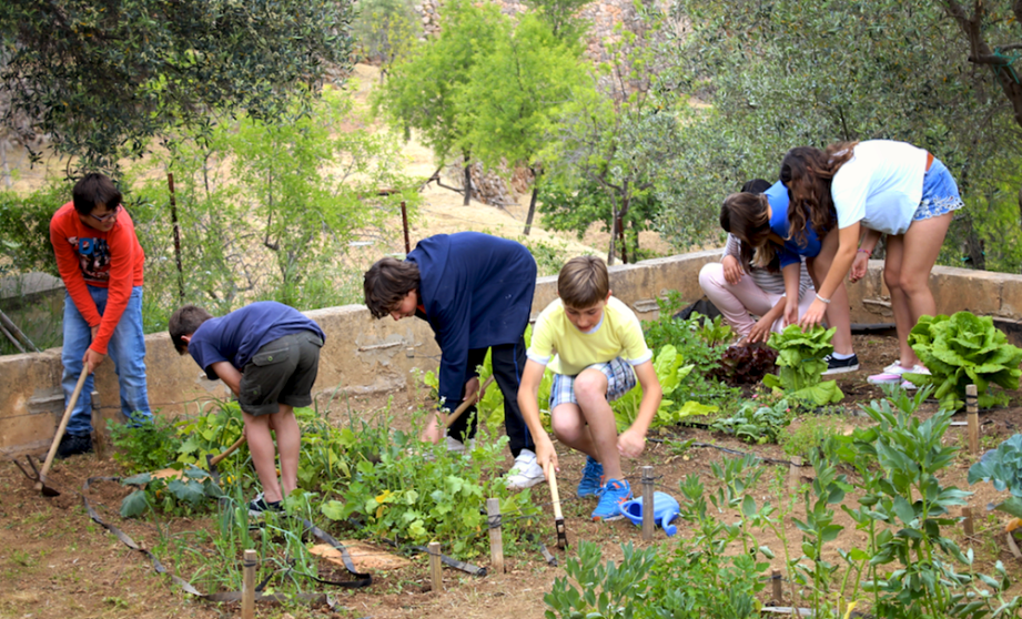 BUNNOVA: ESCOLA VIVA: L'HORT ECOLÒGIC.
