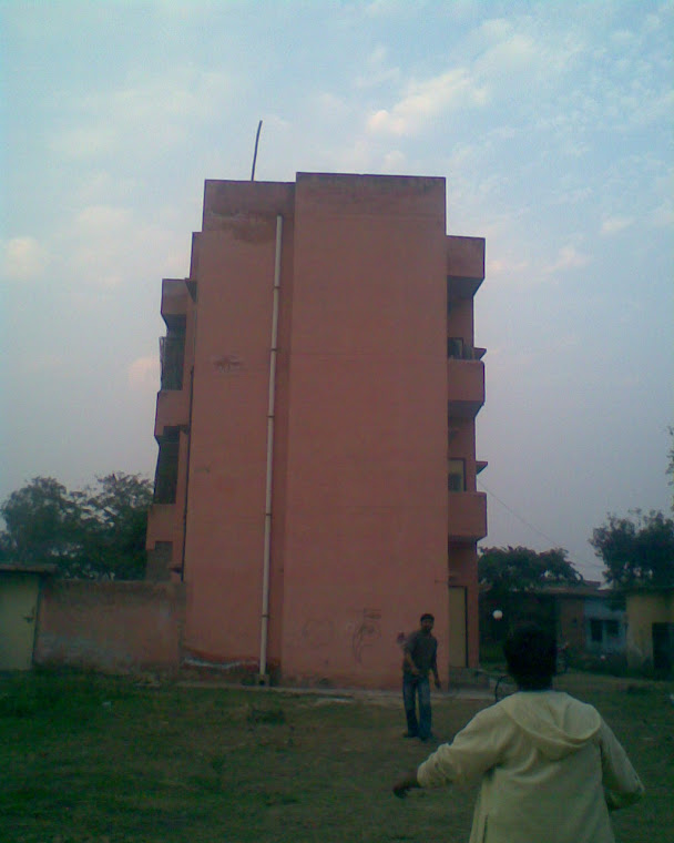 sasni is best and fresh area.: sasni is very beautiful area