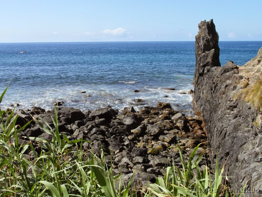 FLAVIUS ATLANTIKUS: Trilho da Praia da Amora - Ponta Garça (Vila Franca ...