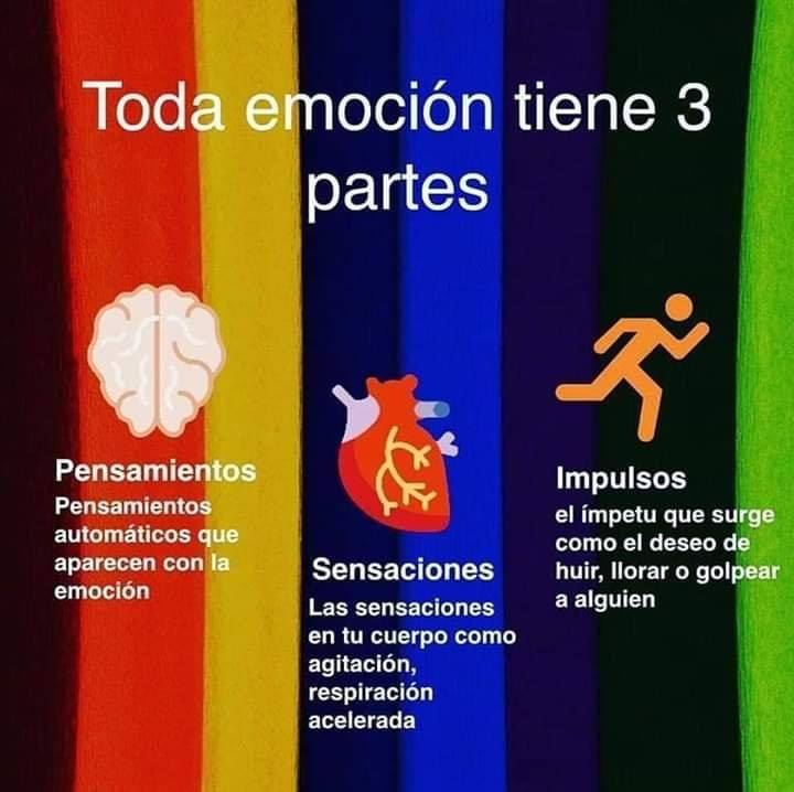 PSICOLOGOS PERU: TODA EMOCIÓN TIENE 3 PARTES