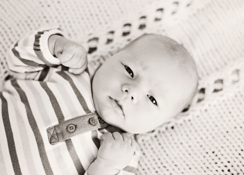 our daily obsessions: :: Photography - WPPI and a newborn