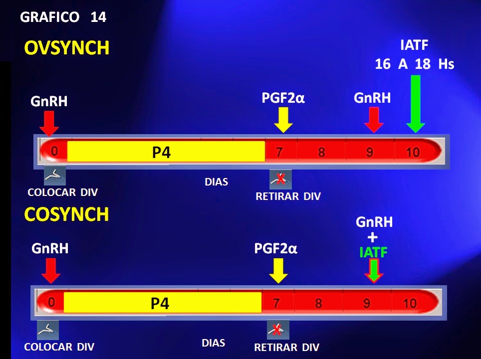 MANUAL DE BIOTECNOLOGIA REPRODUCTIVA EN BOVINOS: MANEJO DEL CICLO ...