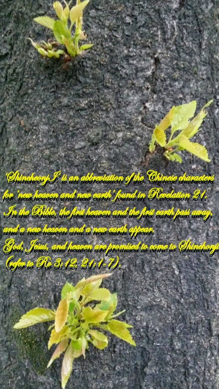 Shincheonji, Eternal Gospel: Shinchonji TV: Shinchonji Church of Jesus