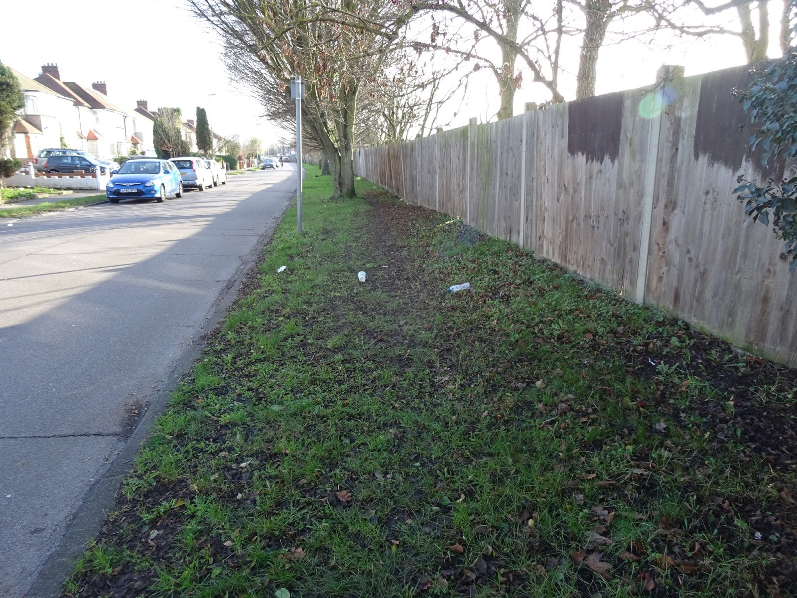 Urbanisation and loss of green verges in Kingston