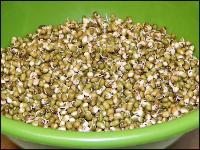 Yum For BABY: Homemade Green Gram Sprout