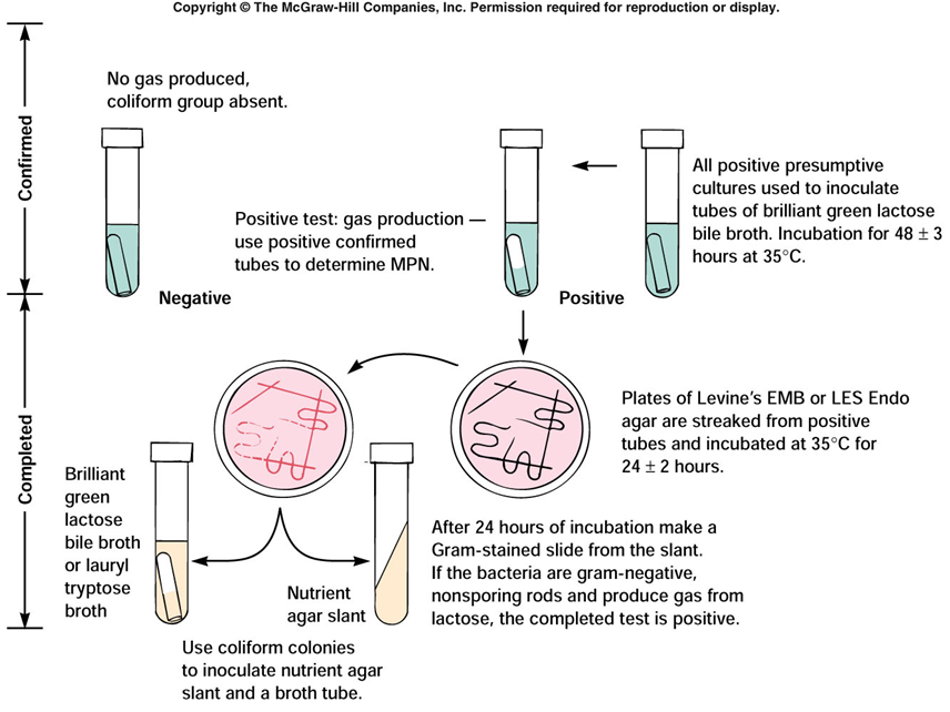 Mikrobiologi air: Analisis kualitatif standar menggunakan metode MPN ...