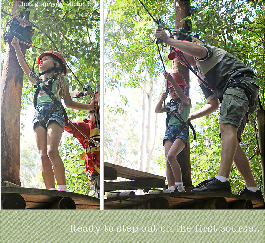 Photography by Michelle: Swinging Through the Treetops - Treetop ...