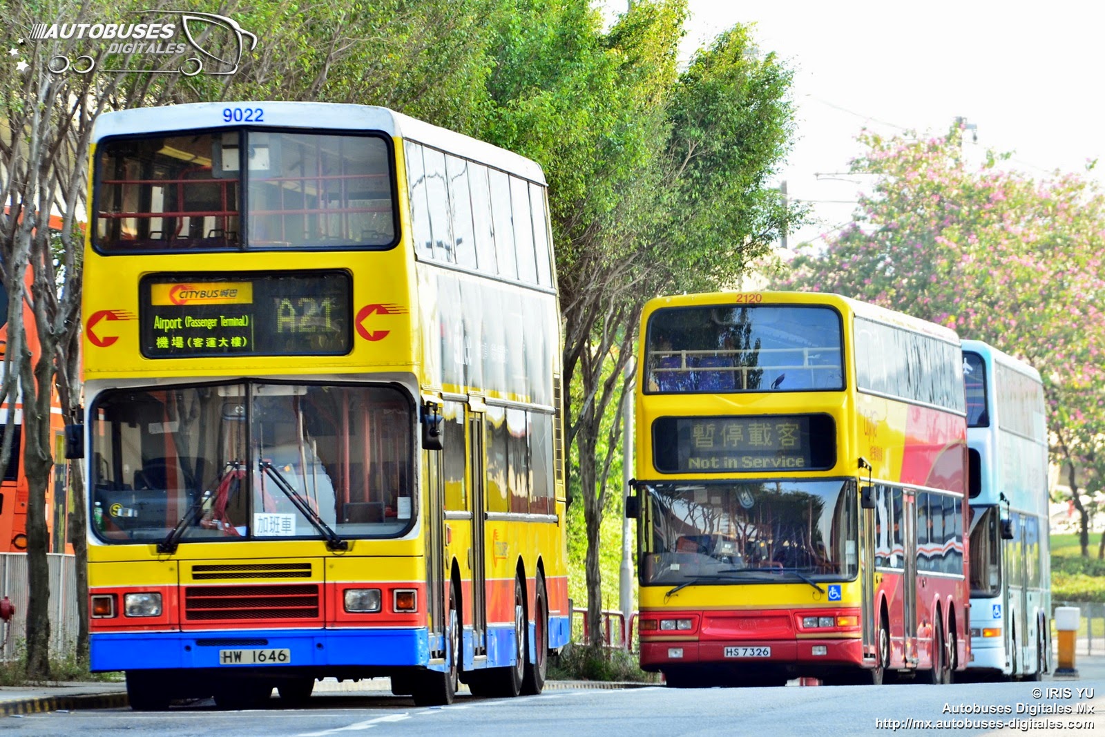 Hong Kong City Buses || Autobuses Urbanos en Hong Kong @ Autobuses ...
