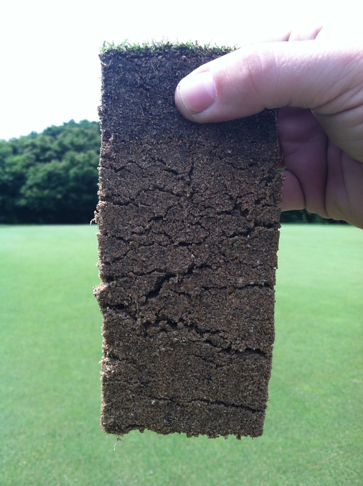 Soils and Water: Greens | Naperville Country Club Green Department