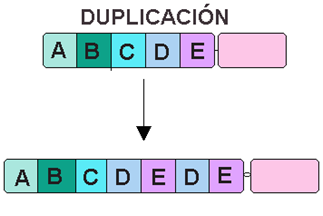 BIOLOGO (plebe chacaloso).: UNIDAD # 5
