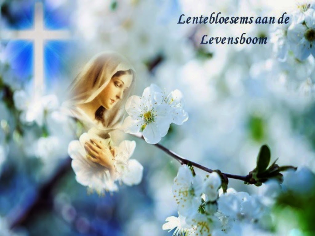 JEZUS en MARIA Groep.: DE MEIMAAND; MARIAMAAND