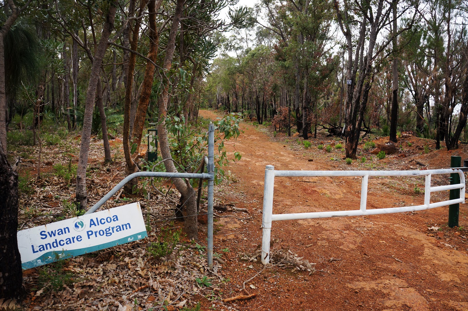 Wungong Gorge Walk GPS Route (Wungong Regional Park) ~ The Long Way's ...
