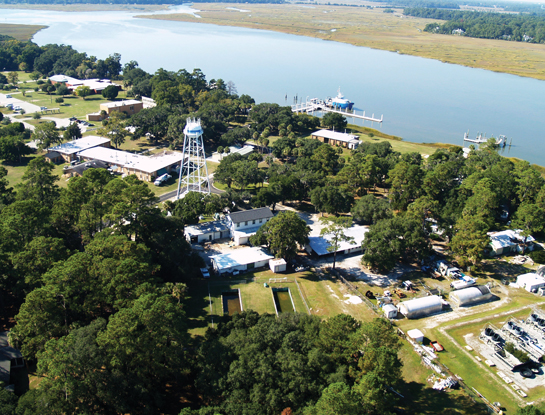 Biblioteca Setorial de Pós-Graduação em Oceanografia: Docente do IO ...
