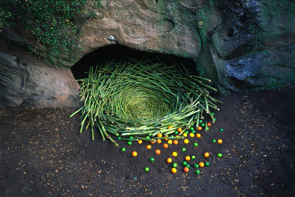 ::B L O G H I S T A P E R C A S O::: Nils Udo :: Nature Art