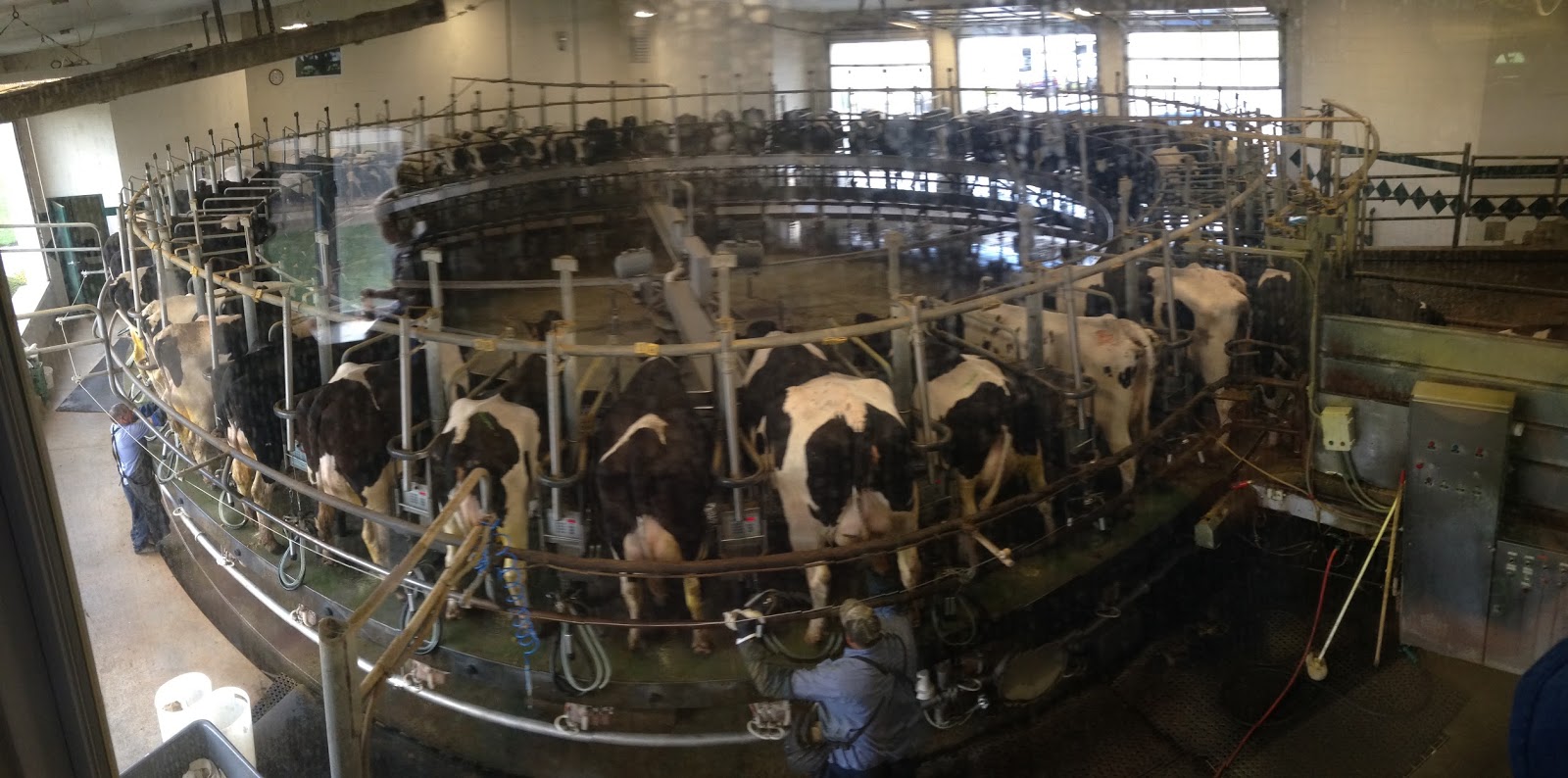 Kosher Factory Tours : Kreider Farms