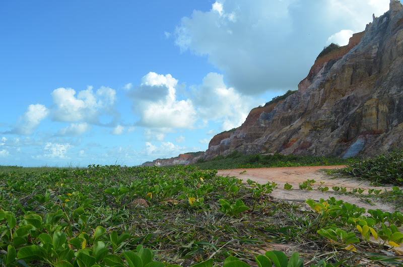 Mama(e) in Translation: The Cliffs in Gunga Beach