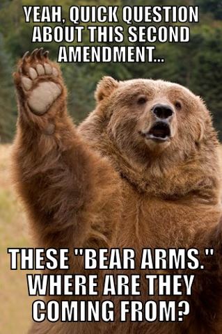 Picz I Like: Second Amendment Question