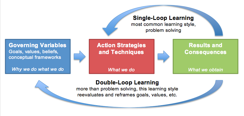 Observations in an undemocratic world: Double loop learning