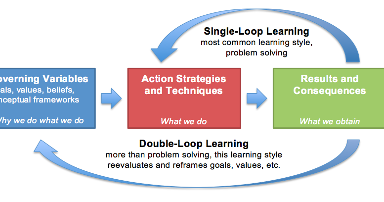 Observations in an undemocratic world: Double loop learning