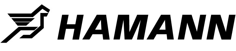 Entretente Entretanto: ¿Qué es Hamann?