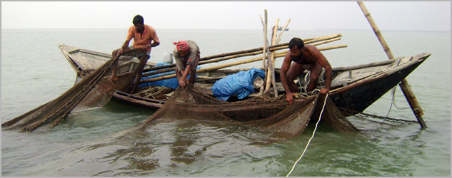 Phoenix: A Critical Introduction to the Selected Poems of Patrick Fernando