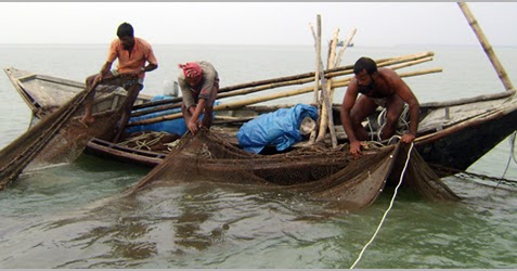 Phoenix: A Critical Introduction to the Selected Poems of Patrick Fernando