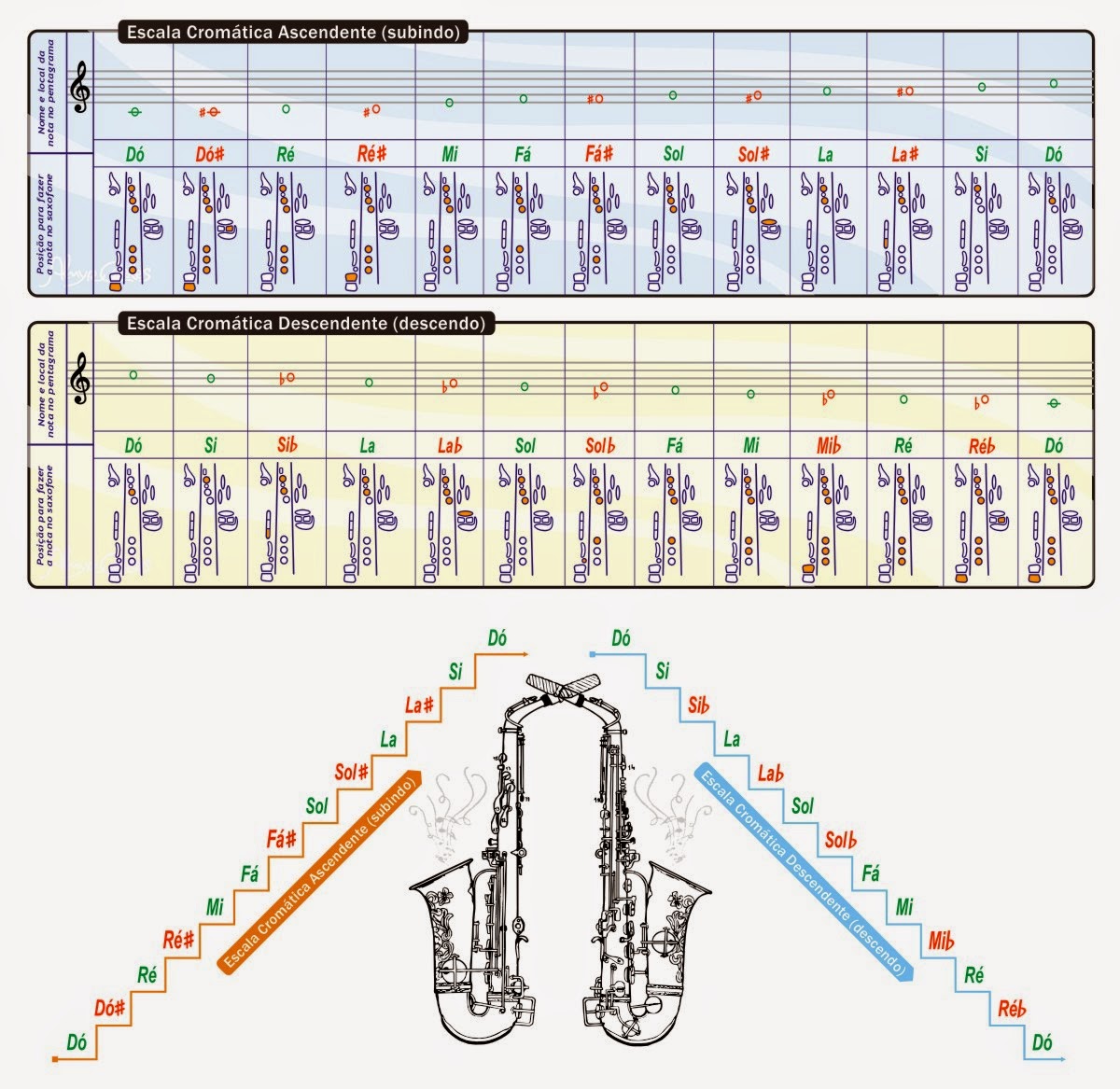 Escala Cromática DÓ a DÓ *(subindo - sustenido) e (descendo - bemol ...