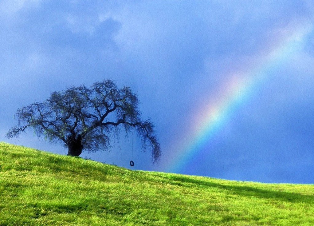 Escolher o Bem: Arco-Íris