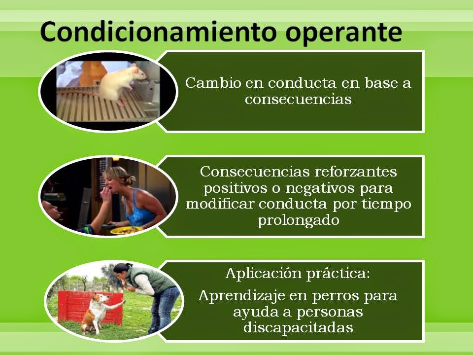 PROCESOS Y AMBIENTES DE APRENDIZAJE: Conductismo y neoconductismo