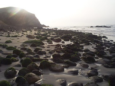 Marine Sediments: Lecture: Deep sea sediments