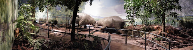 BONE ROOMS: April 2017